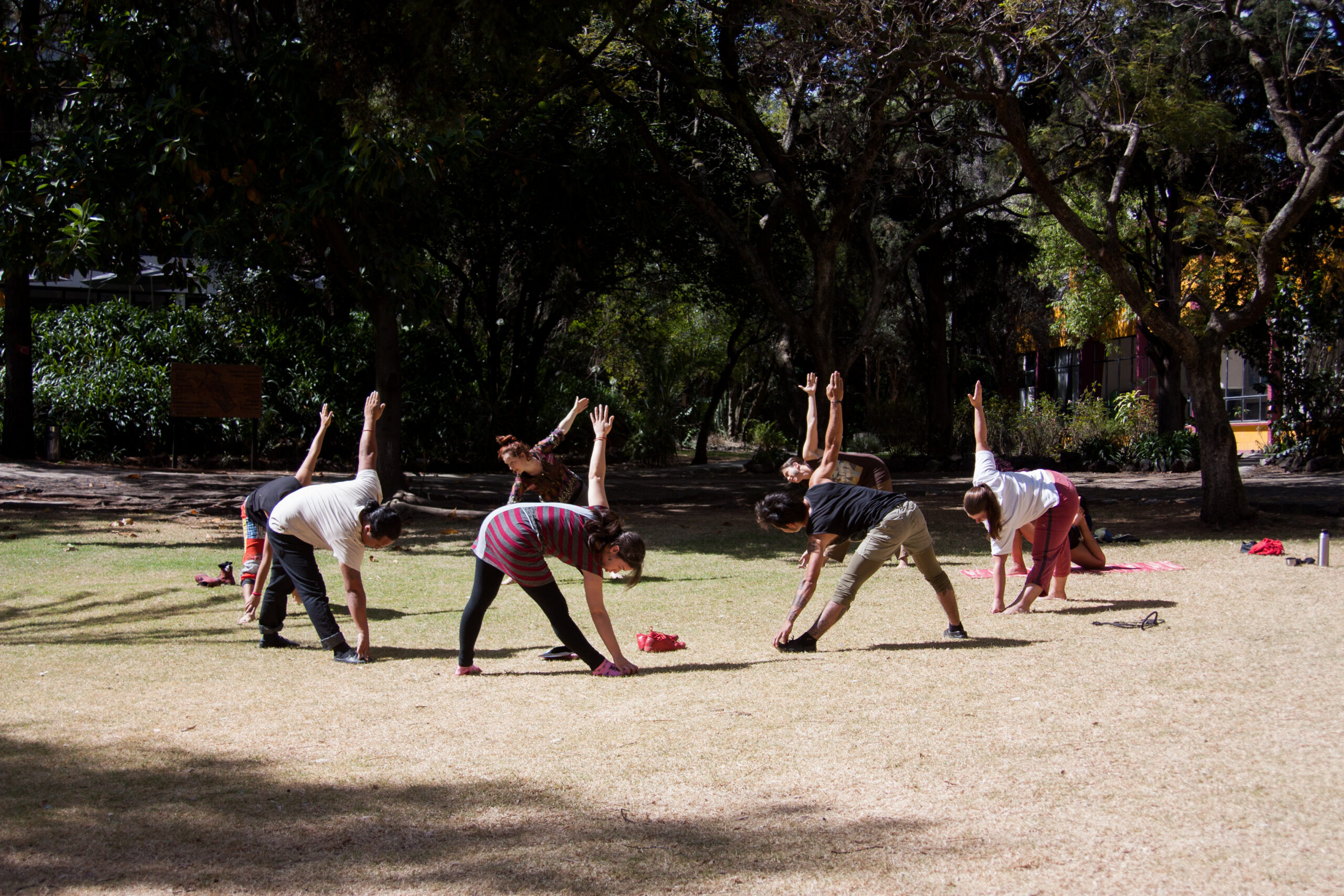 JORNADAS DE FUNAMBULISMO