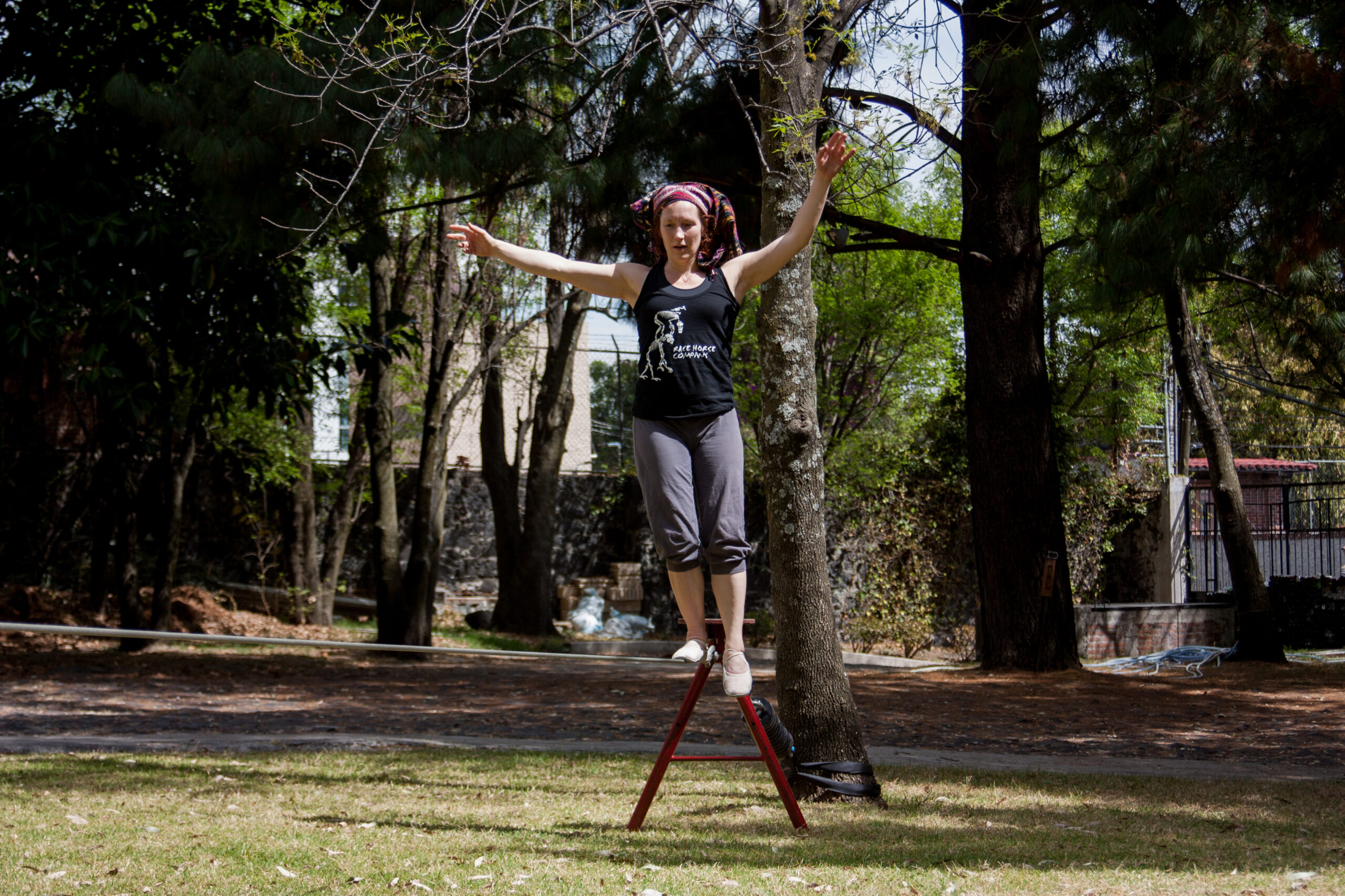 JORNADAS DE FUNAMBULISMO